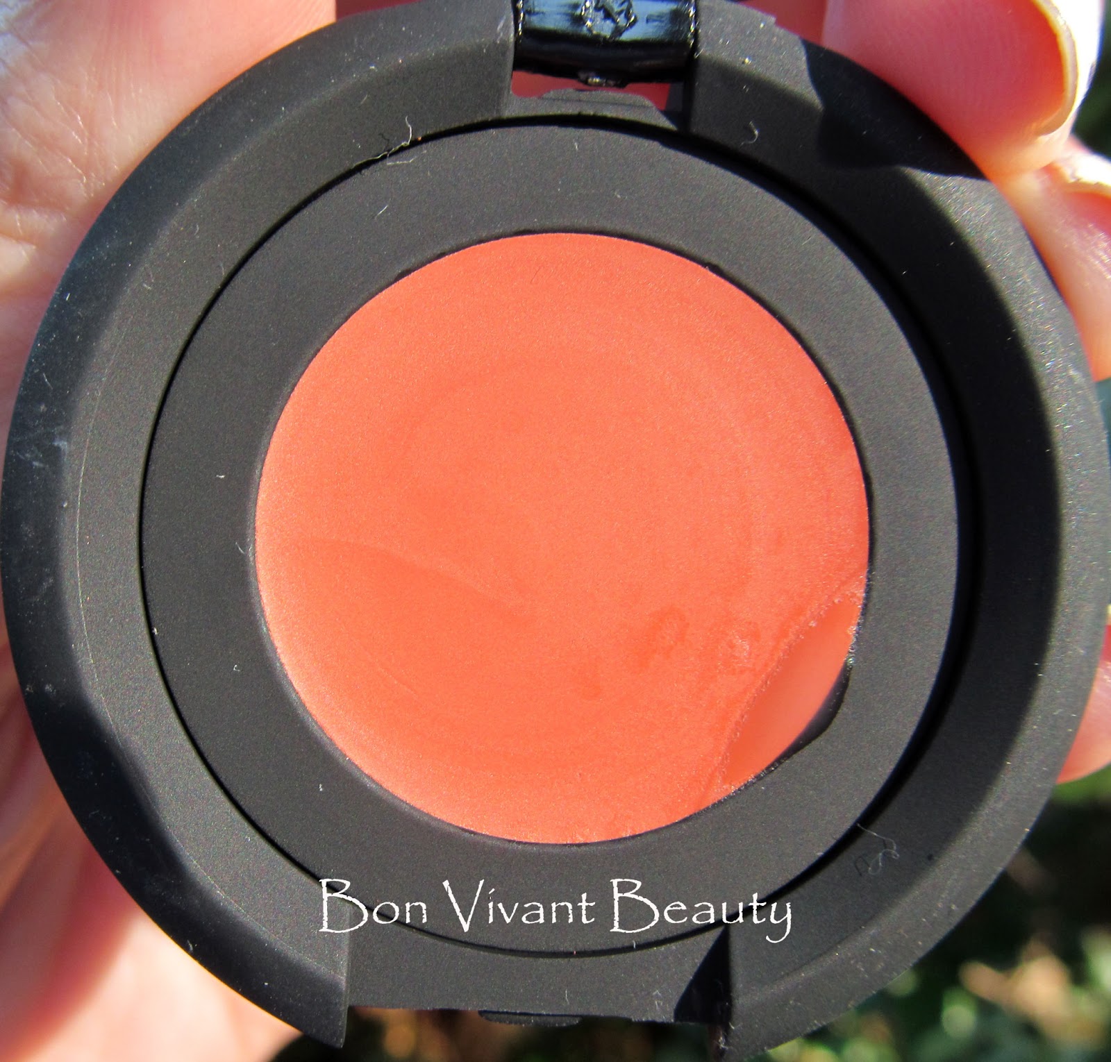 Bon Vivant Beauty: Terra Cotta Cream Blush by The All Natural Face