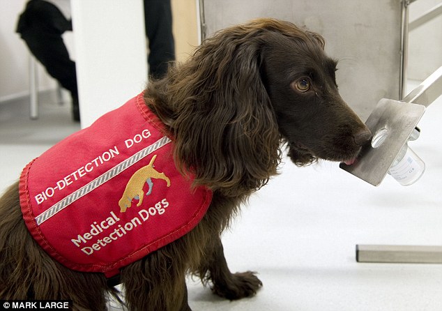 Every Day Is Special: April 28 - National Sense of Smell Day