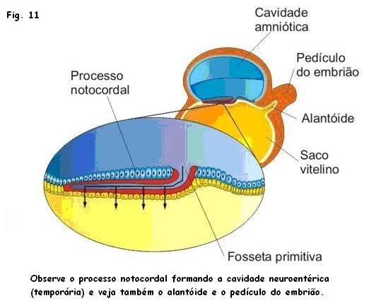 A Vida De Zuleide: outubro 2016