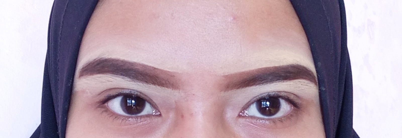 Beginner Beauty Enthusiast: HOW TO MAKE EYEBROW TUTORIAL / TUTORIAL ...