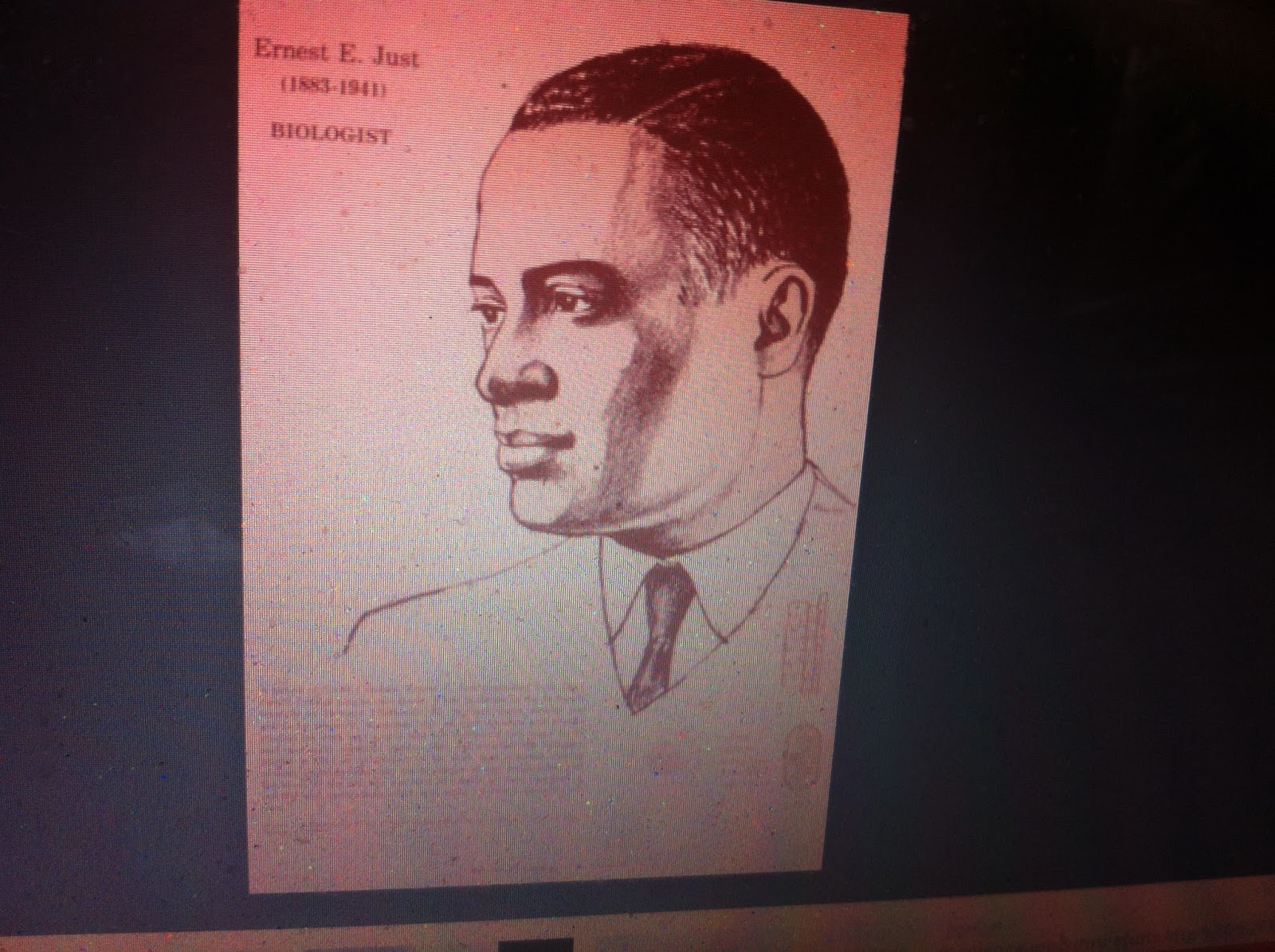 THE BLACK SOCIAL HISTORY:: BLACK SOCIAL HISTORY : AFRICAN AMERICAN ...