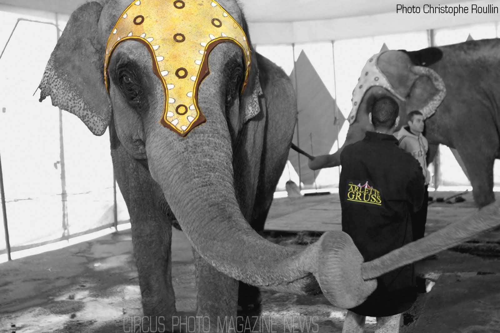 CIRCORAMA PART II: ARLETTE GRUSS. AVEC LES ELEPHANTS, VERSION BACKSTAGE
