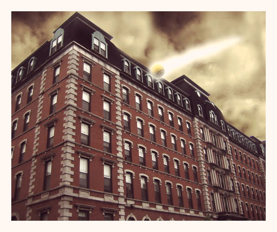 These Photographs Are My Proof: 2011