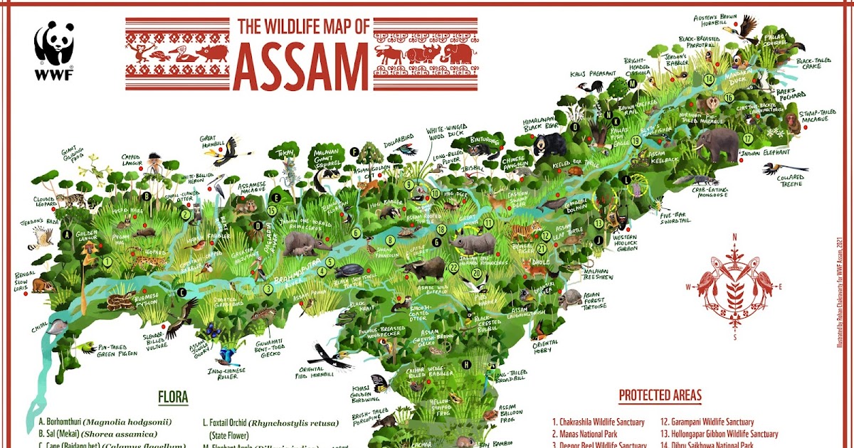 Green Humour: Biodiversity Map of Assam