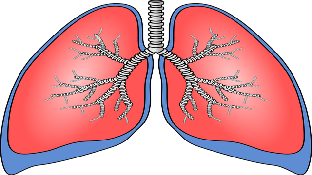 5 Keys to Good Health by Good Breathing - Yogasutram | The Sacred Wish🔴 ...