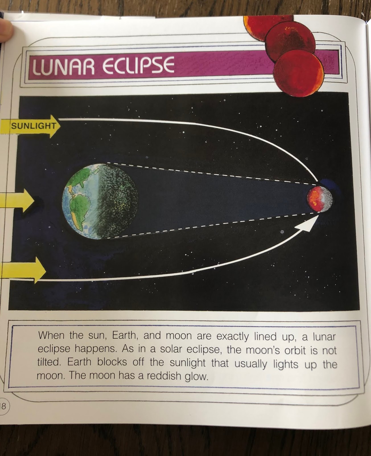 Ms. Brown's Books: The Moon Book