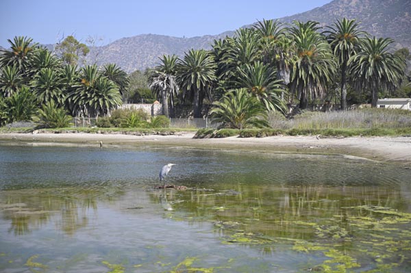 The Intrepid Tourist: MALIBU LAGOON STATE BEACH, CA: A Walk to the ...