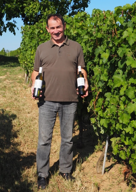 LANGS DE WIJNROUTES VAN SLAVONIË (2): ILOK, WIJNEN MET KONINKLIJKE ...