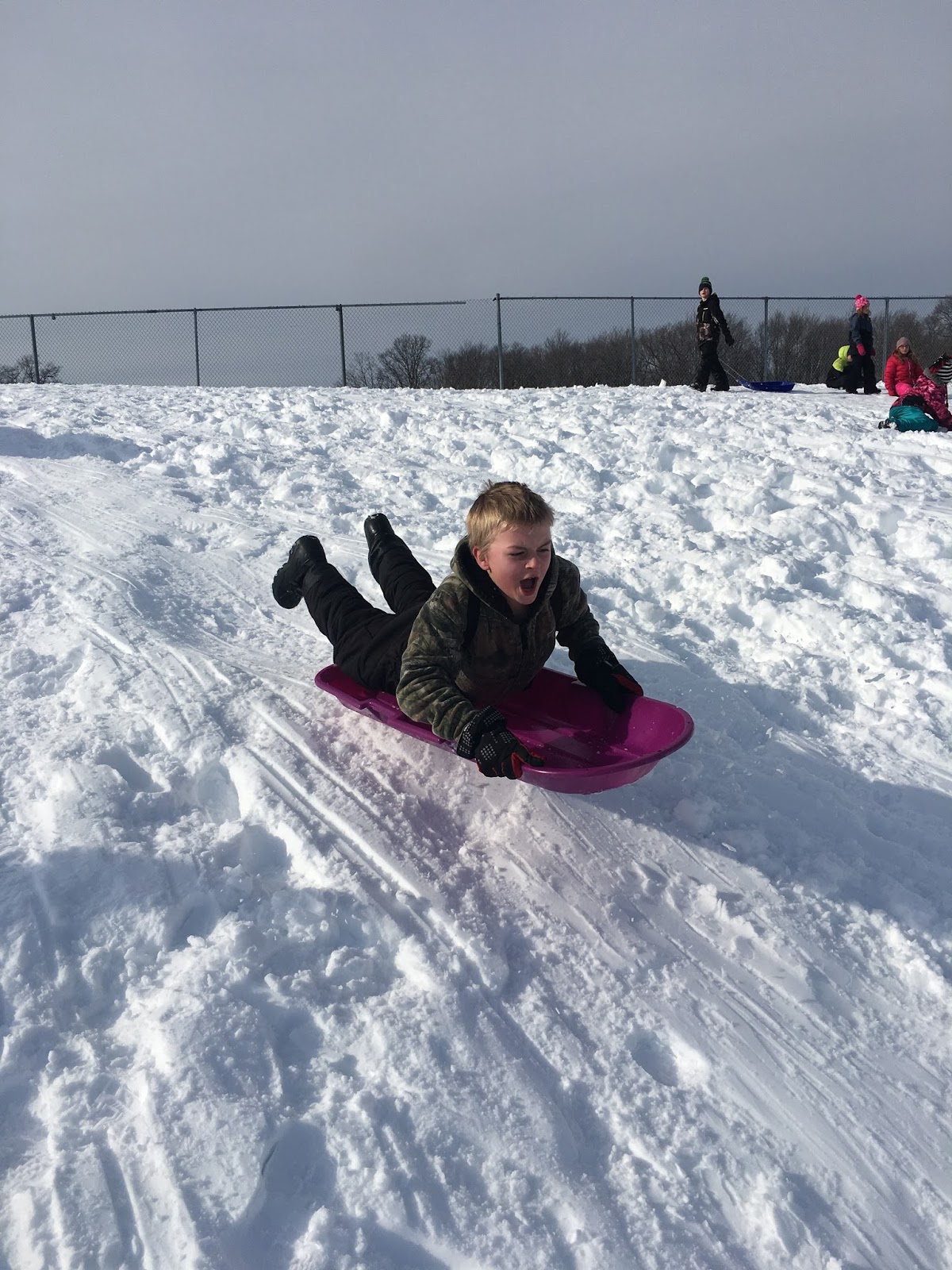 Mrs. Smith's classroom blog: All School Sledding