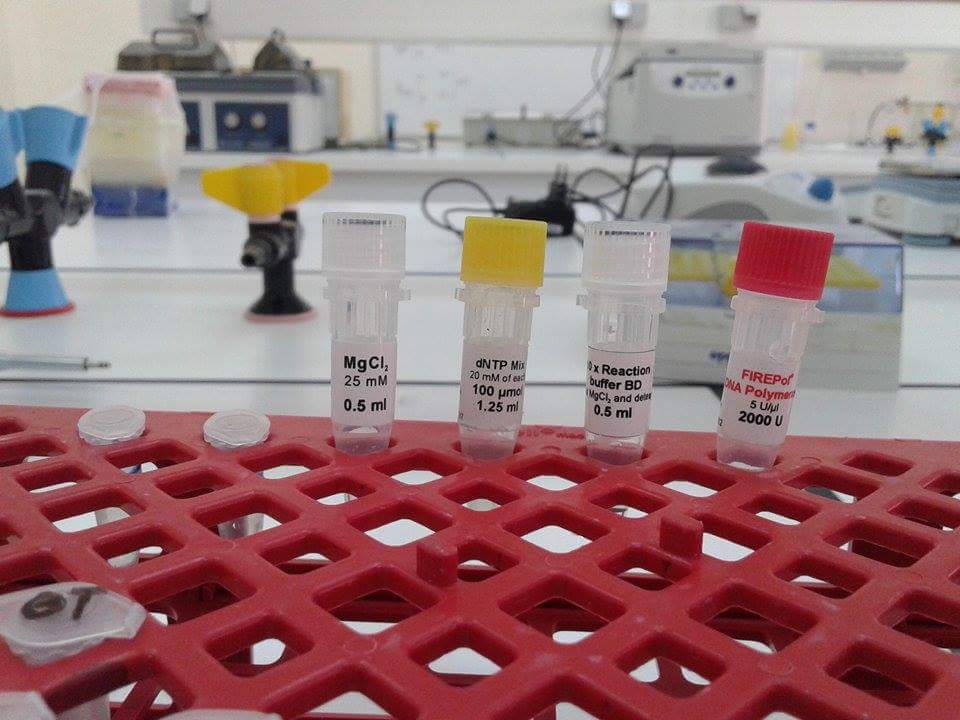 Principe , Technique et Application de la PCR | BioEduc