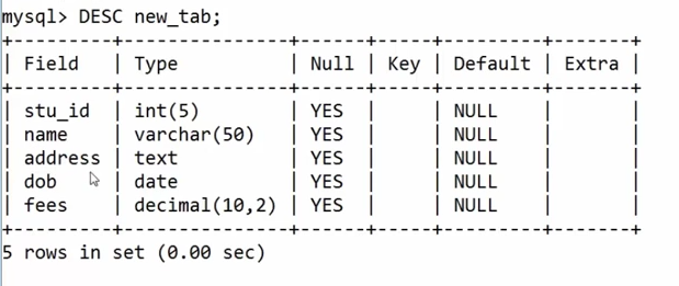 Data Types ~ Computer Languages (clcoding)