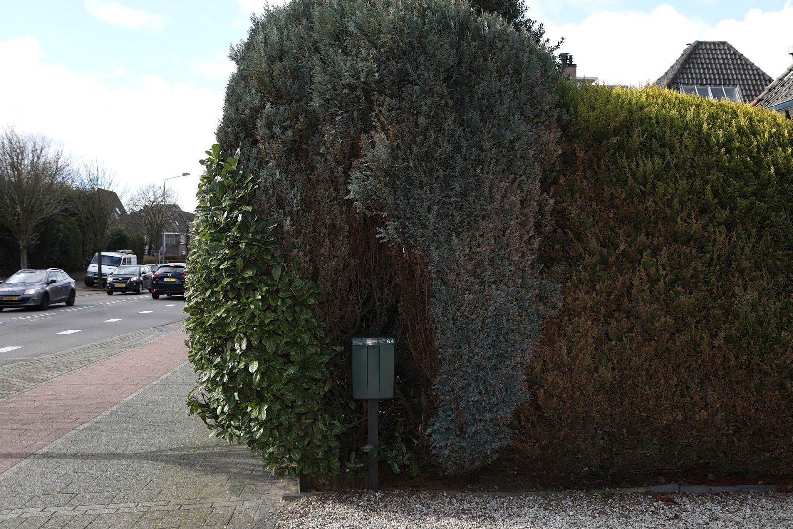 Bint photoBooks on INTernet: The PTT Letterbox in the Dutch Landscape ...