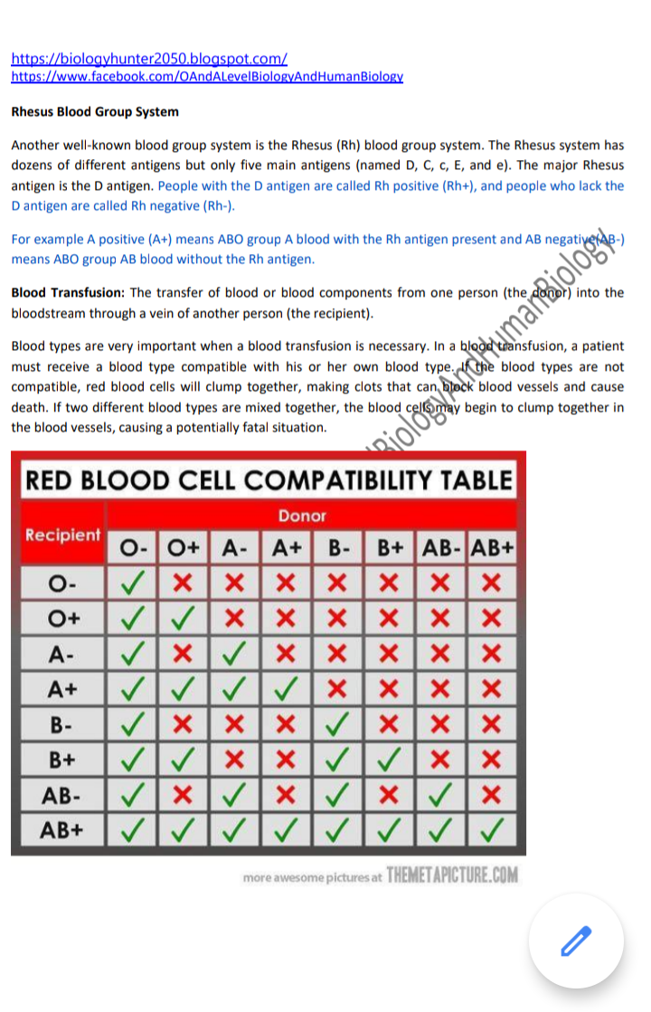 The Human Blood Group (Human Biology Edexcel)