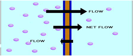 Transpor Zat Difusi dan Osmosis ~ wasbar '96