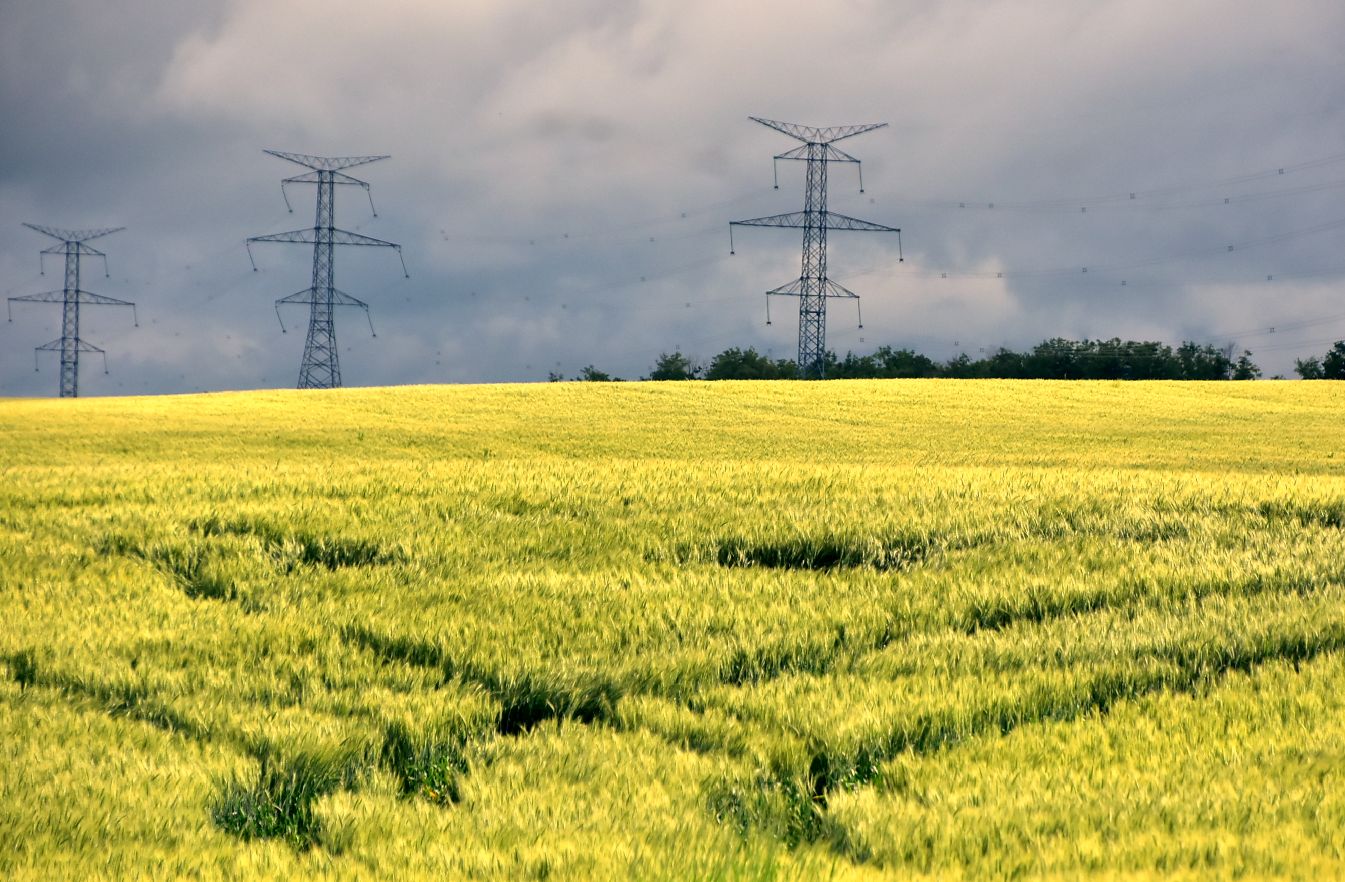 TRAVEL WITH THE BAYFIELD BUNCH:)): BEAUTIFUL COOL MORNING FOR A DRIVE ...