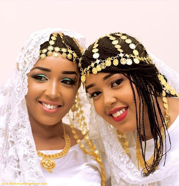The Unknown Nigeria : Northern Nigeria: Beautiful Shuwa Arabs Wedding