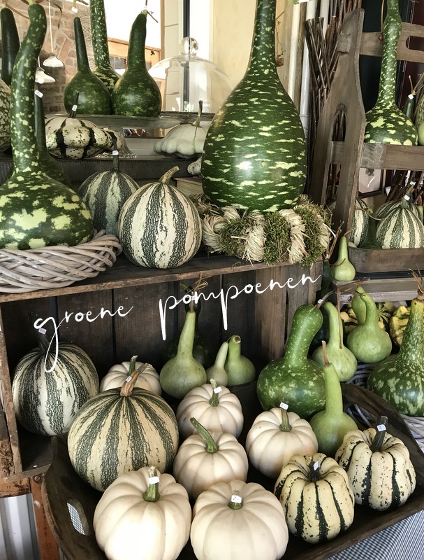 niwibo - life is so beautiful: Carin´s pompoen tuin oder Willkommen im ...