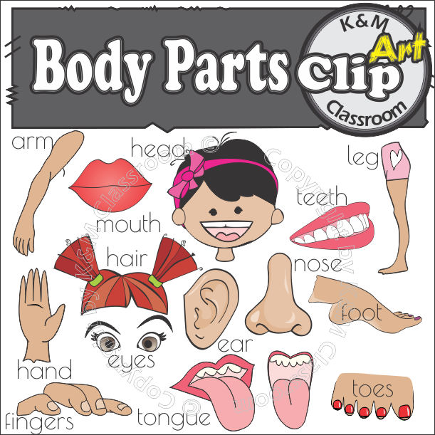 KM Classroom: Body Parts Flashcards, Word Cards