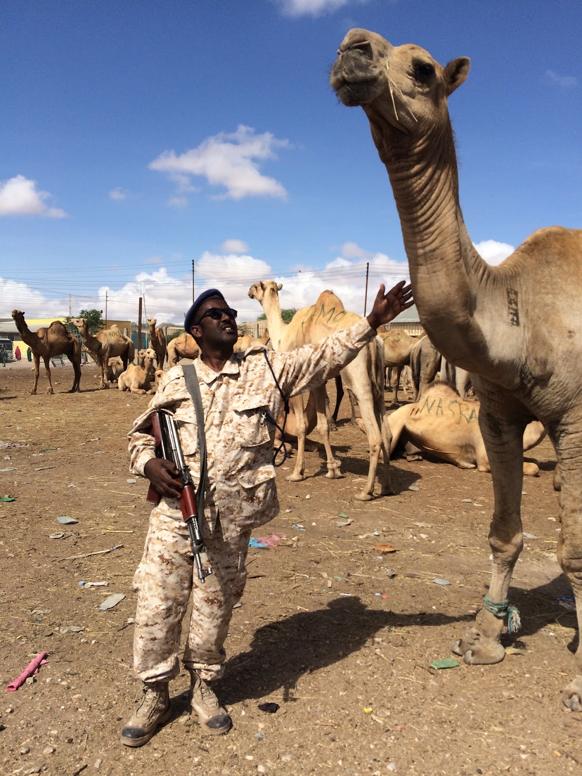 Mary Harper: Hadrawi: The Somali Shakespeare