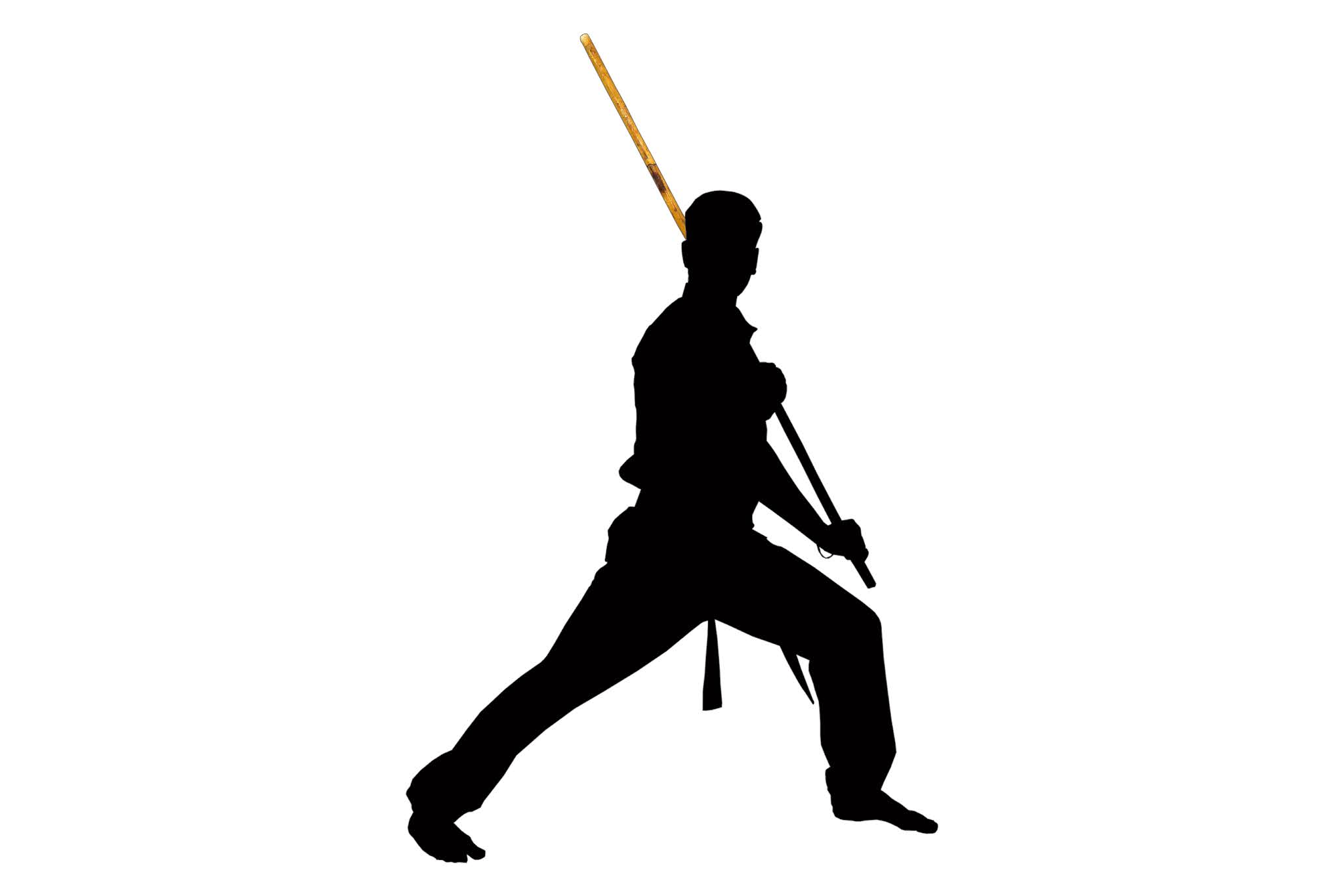 Panchabootha International Martial Arts Academy: Silambam Clipart , vector