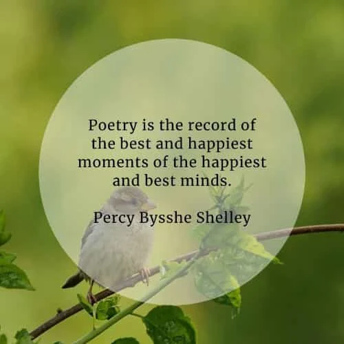 50 Poetry quotes that will inspire your mind and soul