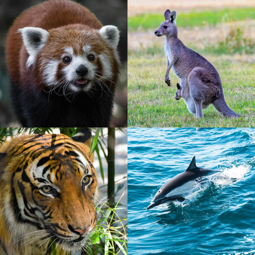 Pelo y mamas. El origen de los Mamíferos.