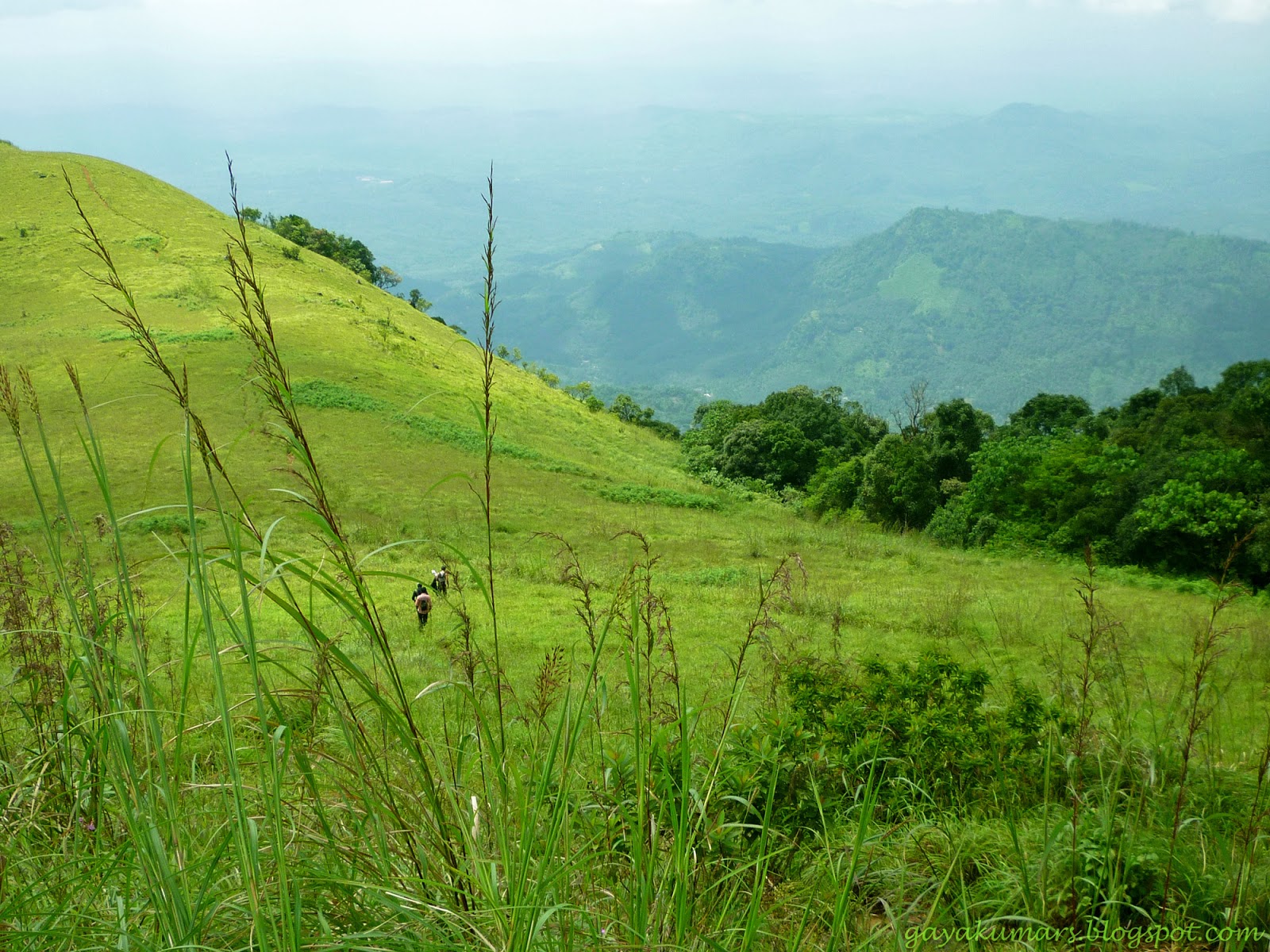 A Trip To PaithalMala: PaithalMala / Vaithalmala