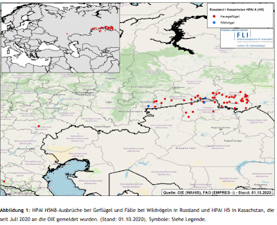Avian Flu Diary: FLI: Risk Assessment Of HPAI H5 Affecting Germany This ...