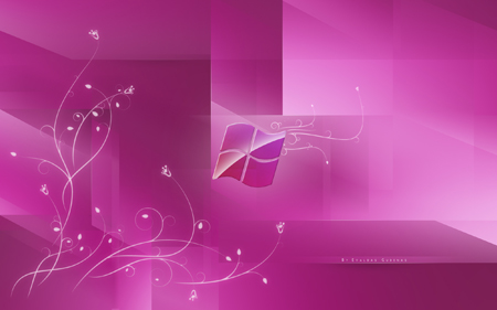 Pink Windows HD Wallpaper | Various High Definition Wallpapers
