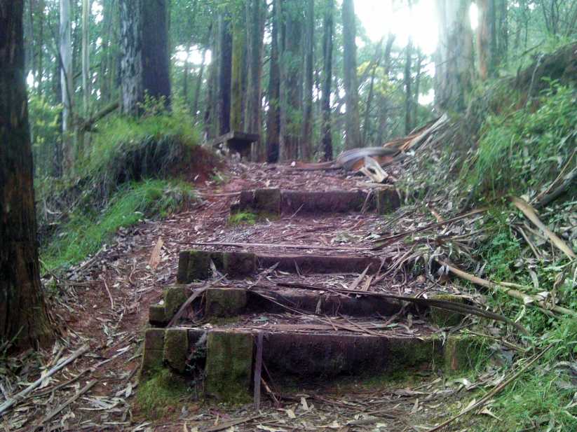 TRACKS, TRAILS AND COASTS NEAR MELBOURNE : Late winter hike in the ...