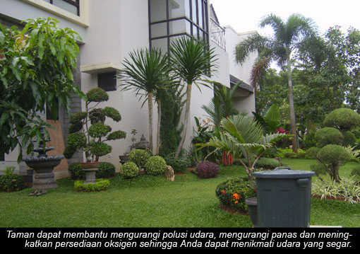 Sewa Tanaman - Landscape: Jasa Pembuatan Taman Rumah Murah Jakarta ...