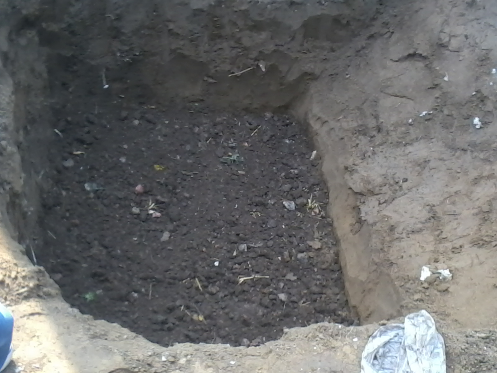 Fun with Nature: Team At Work