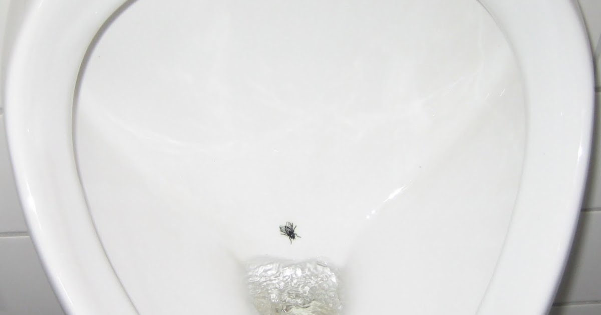 ROWDY IN GERMANY: Aim Point