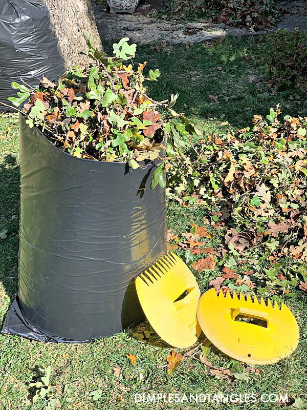 FIVE FRIDAY FAVORITES | Dimples and Tangles