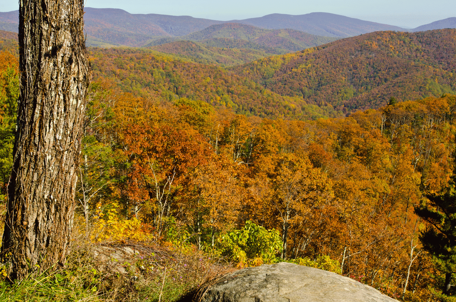Journeys With Judy: Shenandoah National Park VA