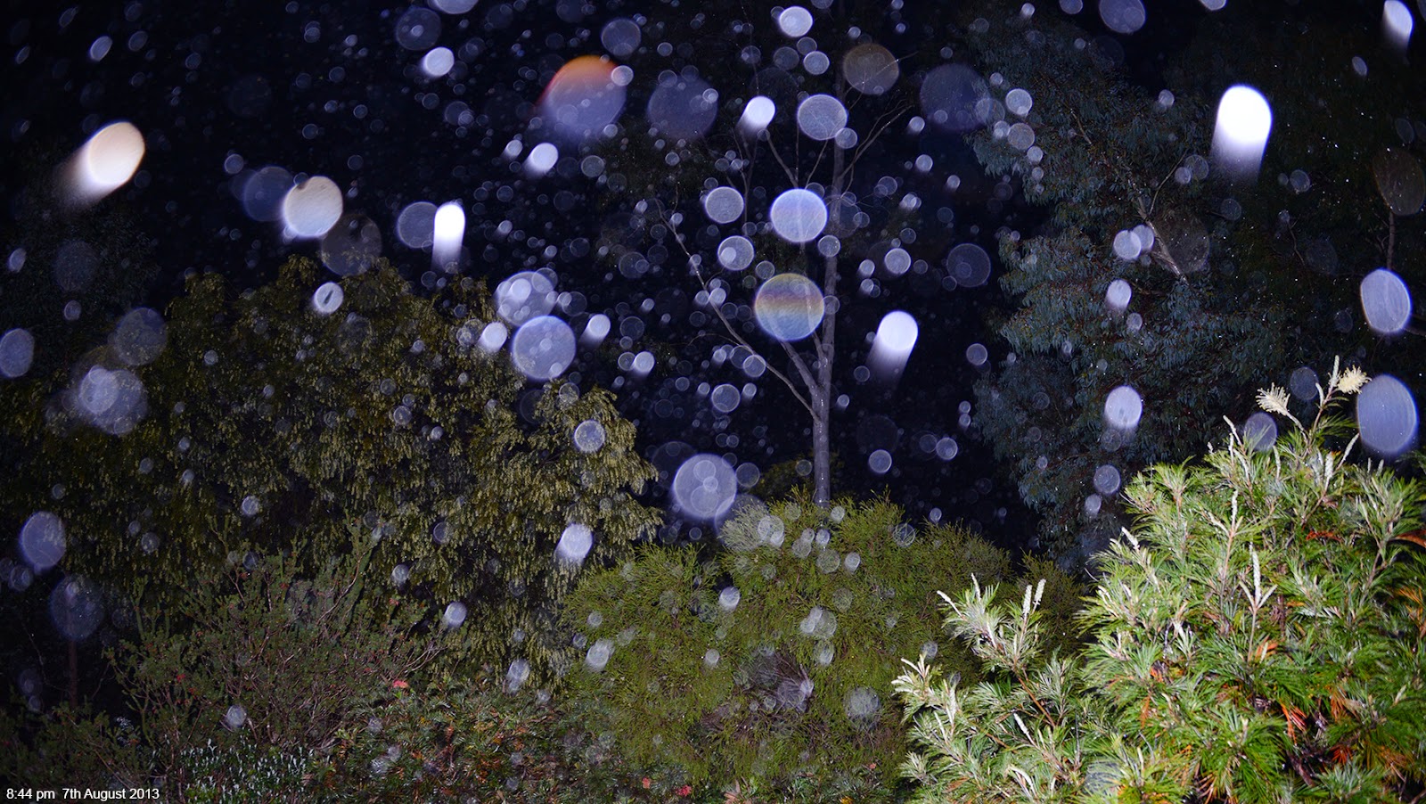 Bello Abril: Los Orbs