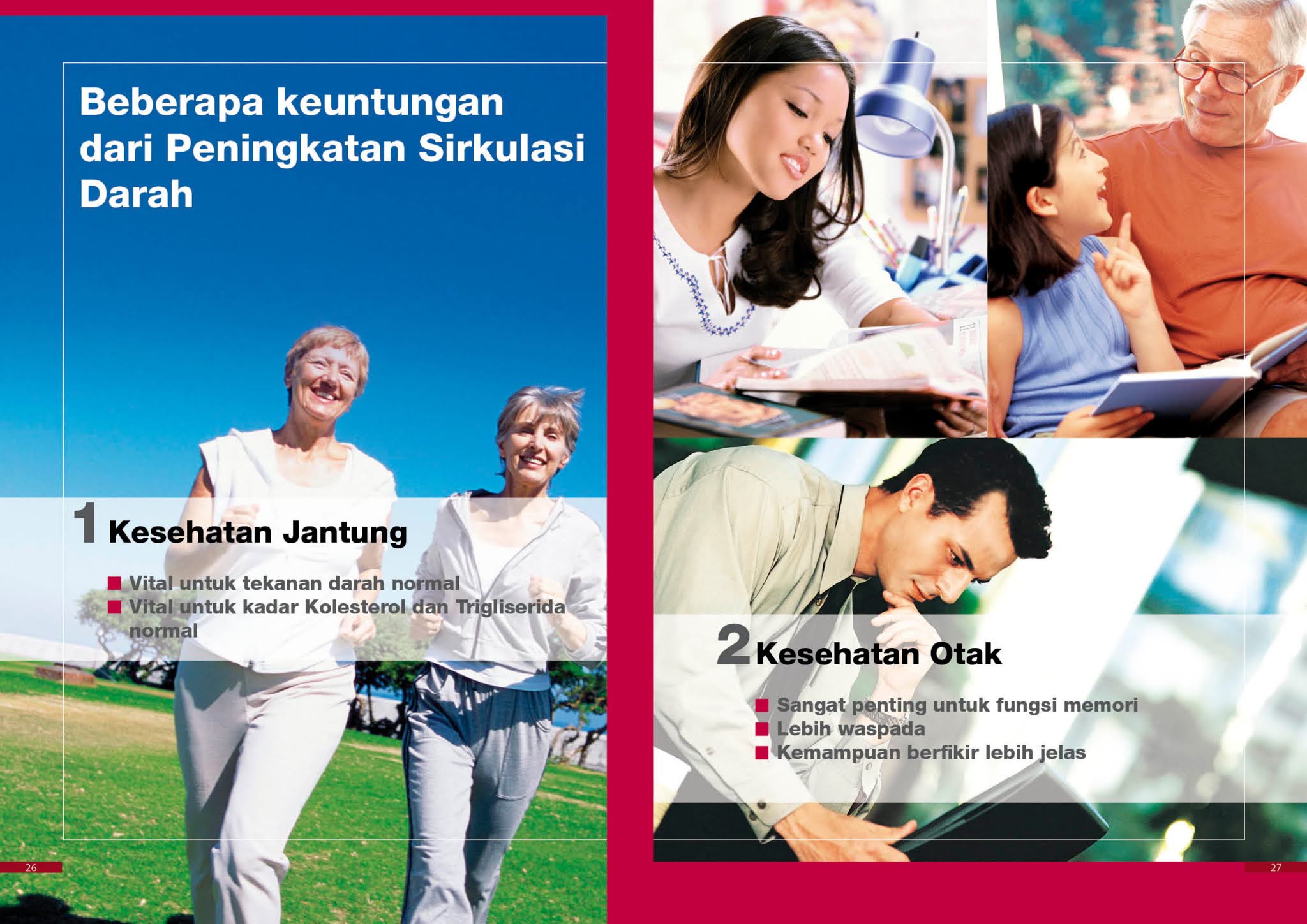 Distributor Elken Indonesia - ielken indonesia