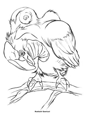 amkudelka: WEIRD CREATURES Coloring Book