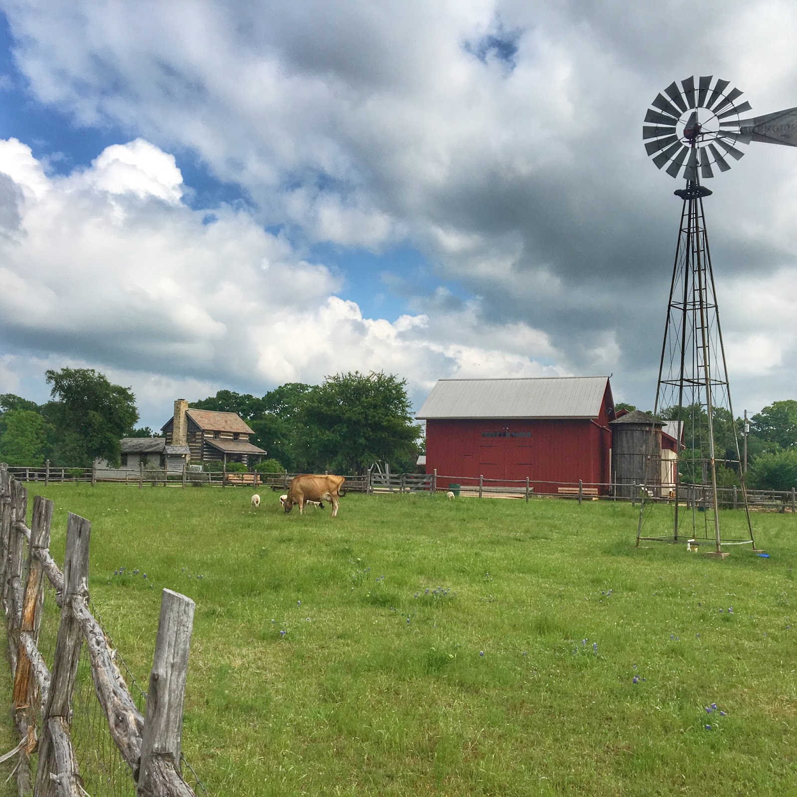 Backyard Farming: Homestead Heritage
