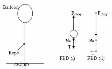 AP Physics Resources: Free Body Diagrams for AP Physics B and C