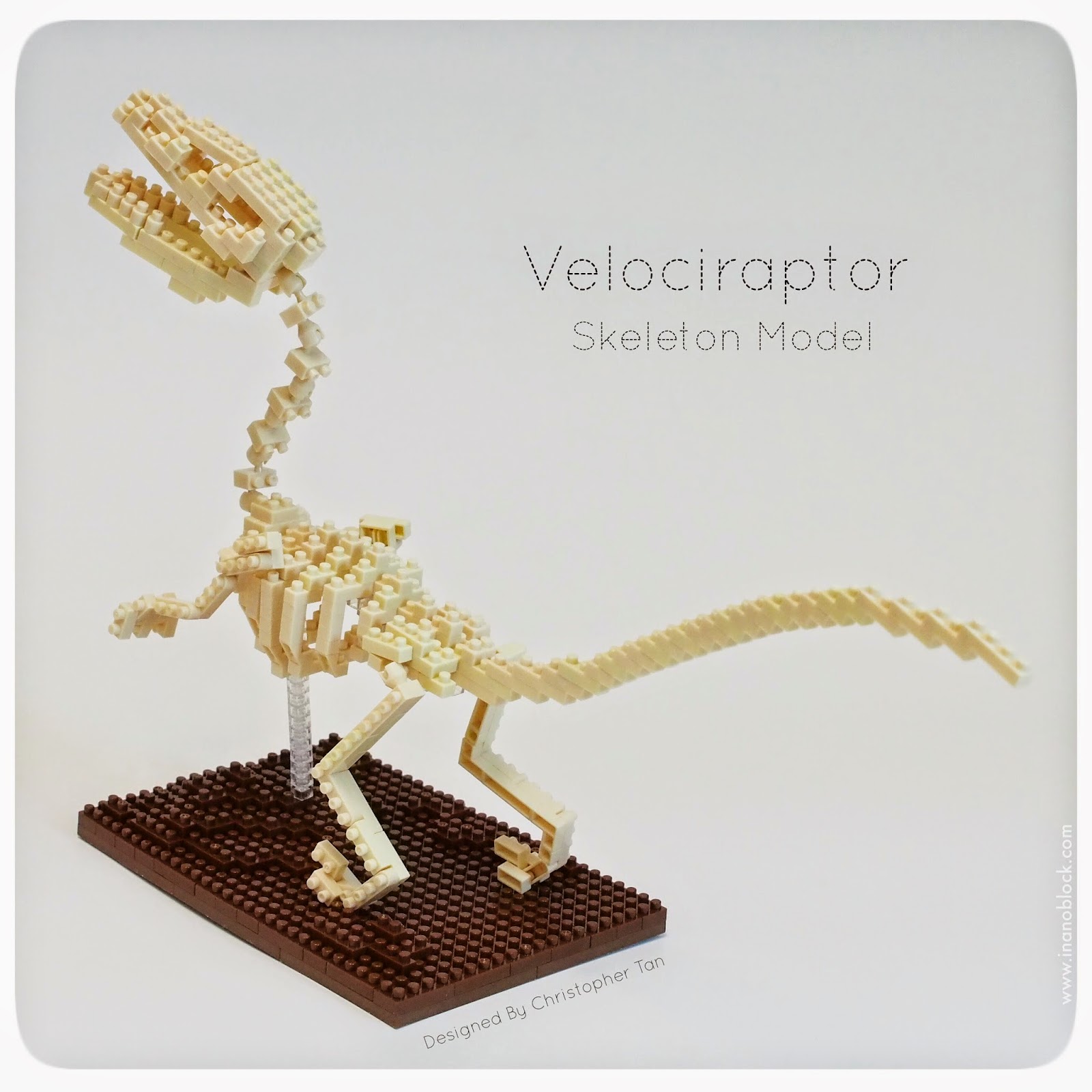 Christopher Tan: nanoblock Velociraptor Skeleton Model