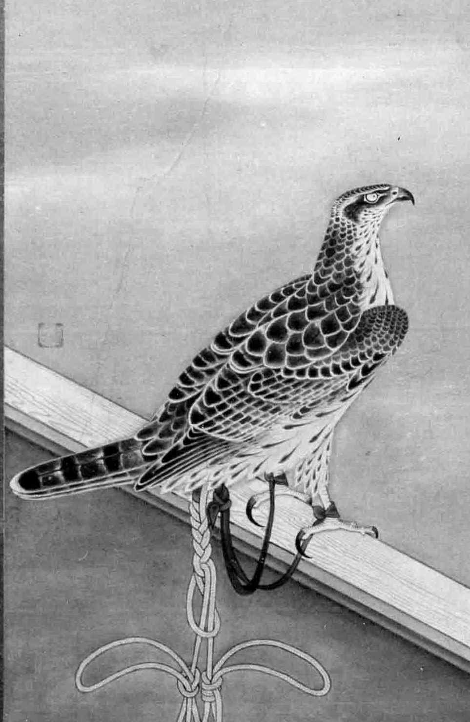 Originals – Stephen Bodio