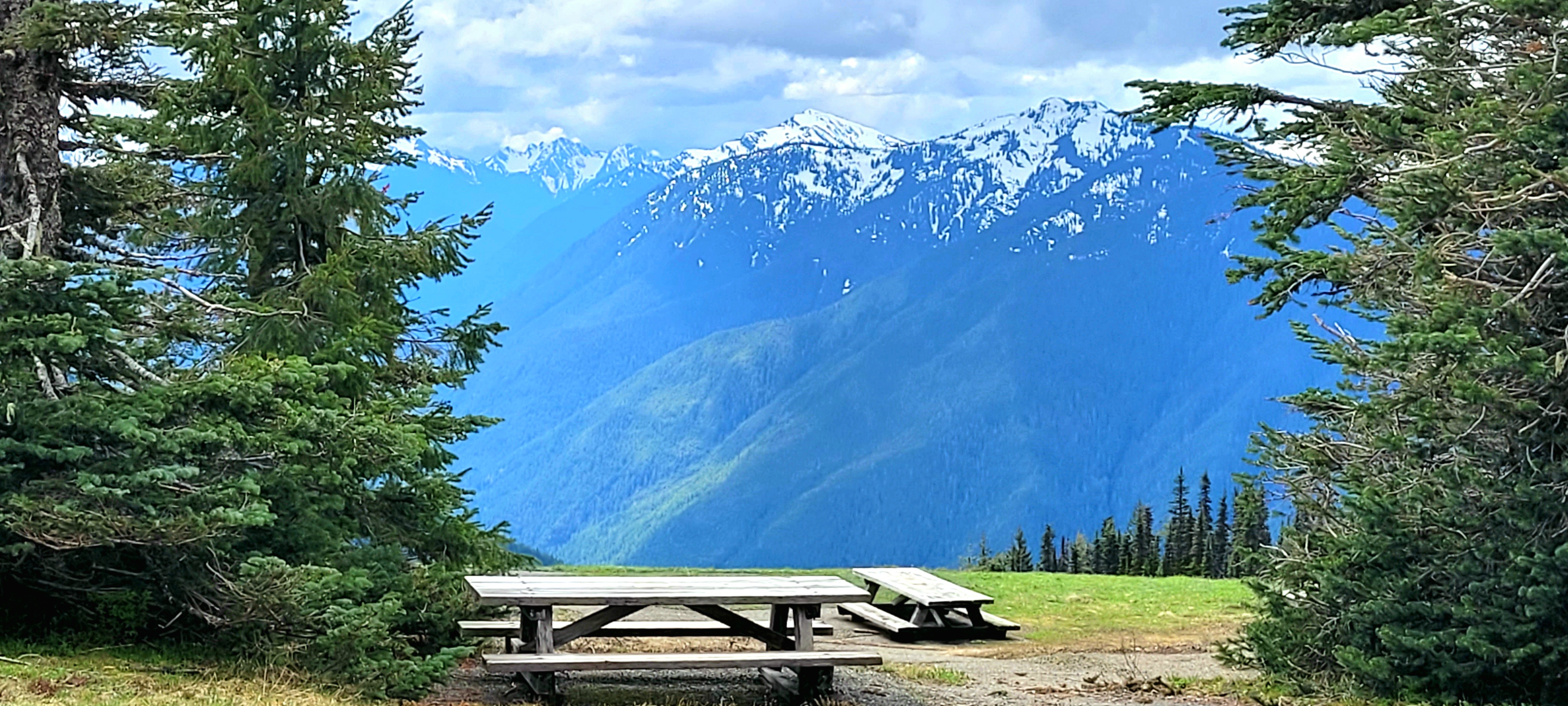 Photos of Our Breathtaking Visit to The Hurricane Ridge Olympic ...