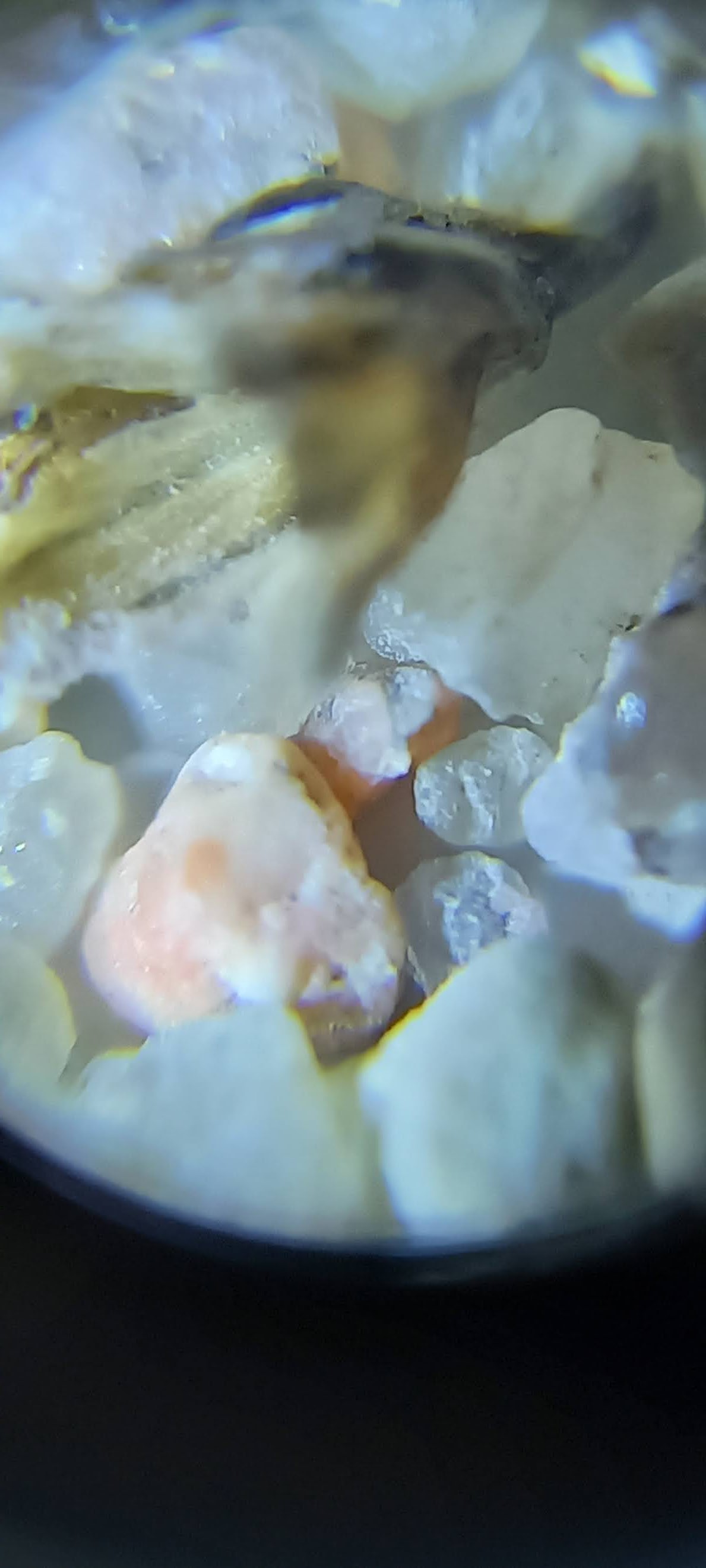 Loodusteaduste Koda: AG Maakoor koosneb kivimitest 6. klass 7.09.20