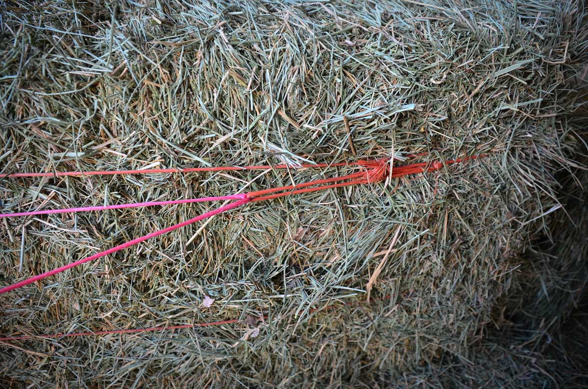 The 7MSN Ranch: Hay bale repair ~ a tutorial