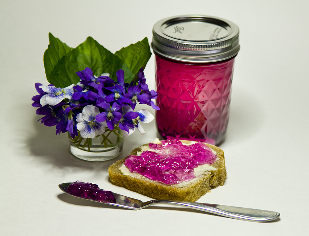 The 3 Foragers: Foraging for Wild, Natural, Organic Food: Violet Recipe ...