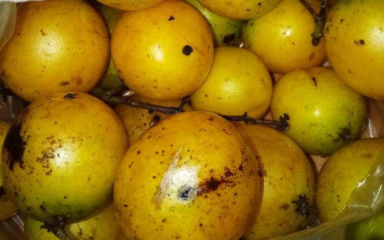 Mengenal Buah Raman ~ APERO FUBLIC