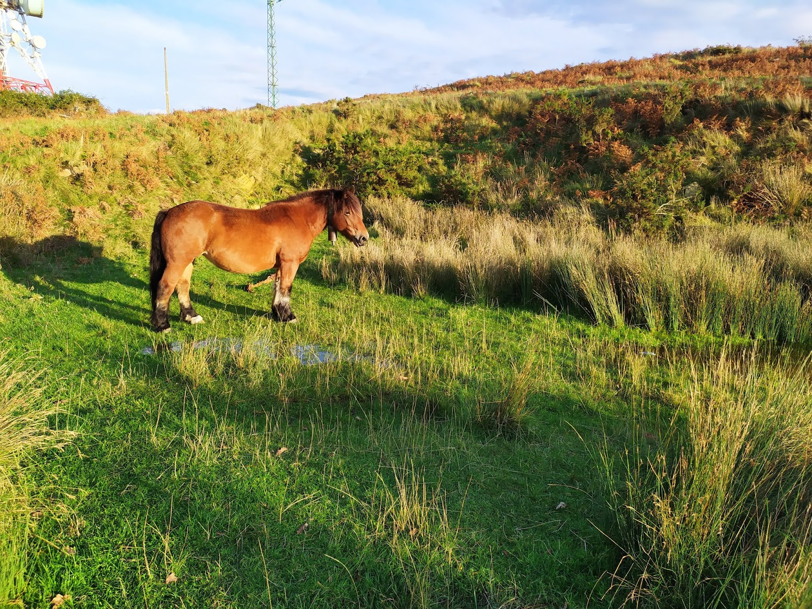 Retour sur nos 9 jours au Pays Basque - Espagne - Forums Routard.comRetour sur nos 9 jours au ...