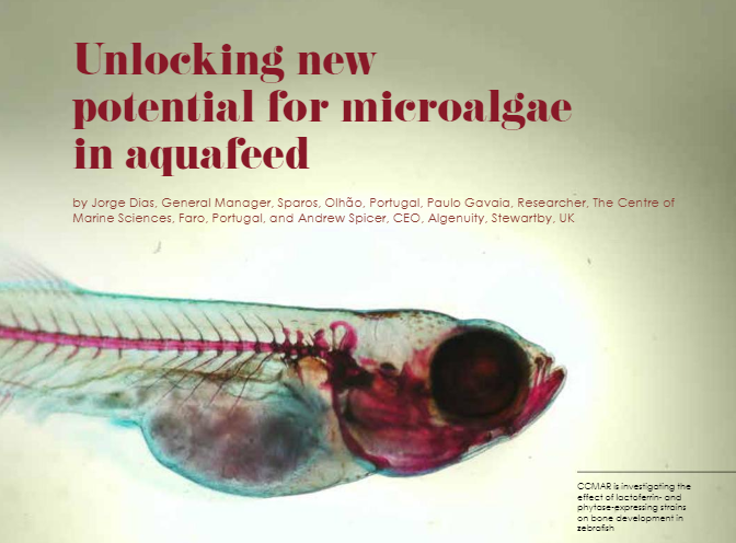 The Aquaculturists: Unlocking new potential for microalgae in aquafeed