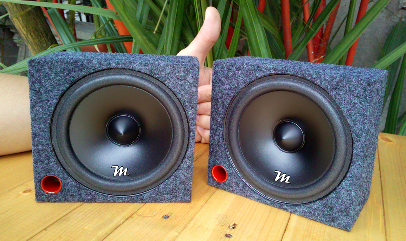 DIY Mini Subwoofer: 2019